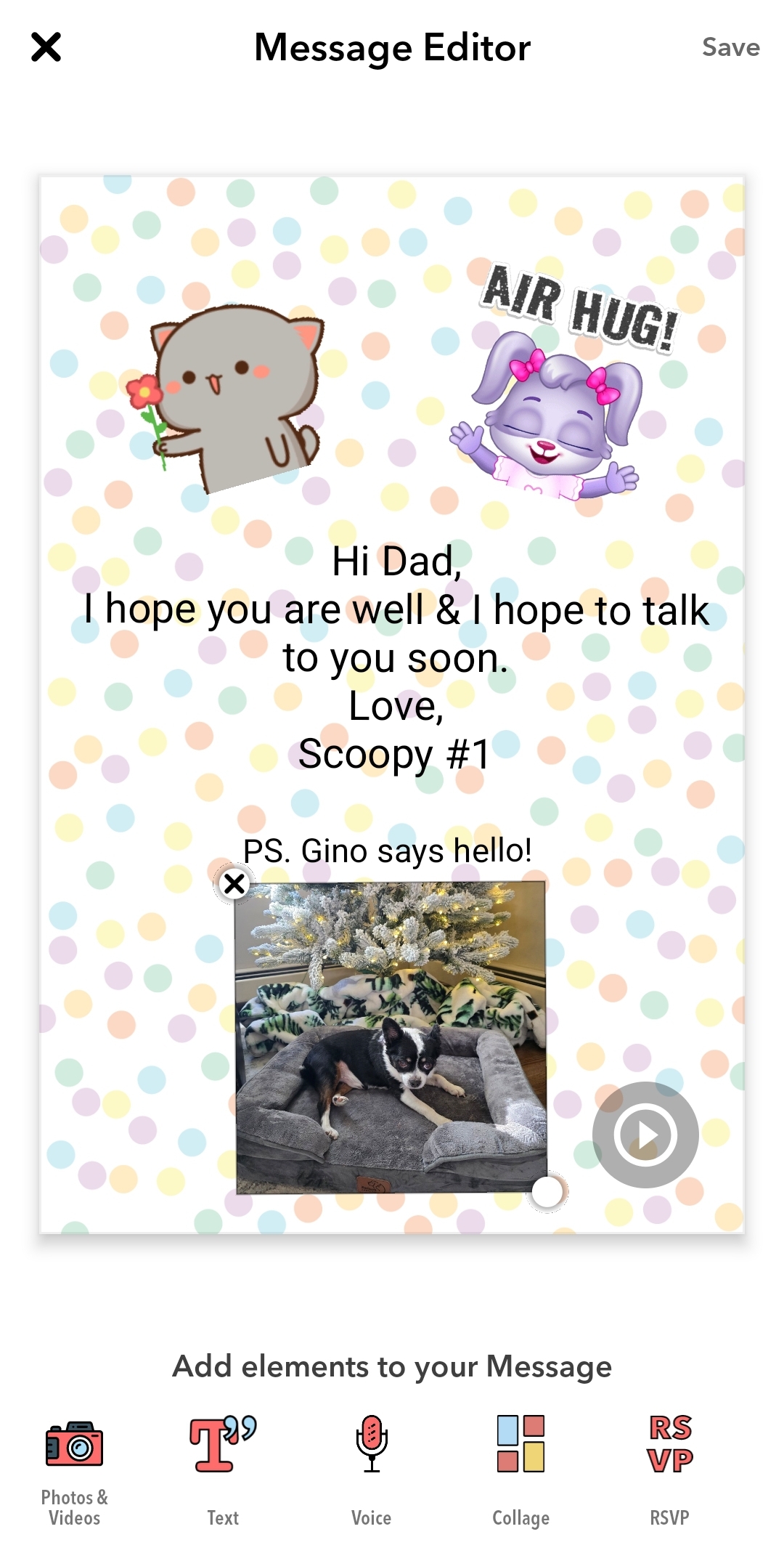 Spreading Joy with CardSnacks: Creative Digital Cards for Every ...